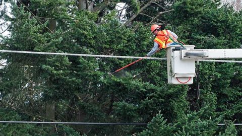 Farmers Electric Cooperative